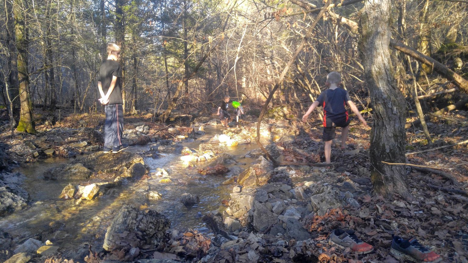 Busiek State Forest and Wildlife Area - Our Favorite 417 Destination